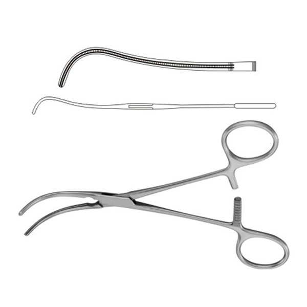 Dissecting Forceps